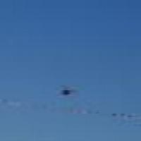 Trekkerslep Noordscheschut (2006) International