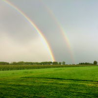 Artikel over ‘boerensteun’ betreft onzorgvuldige journalistiek door ...