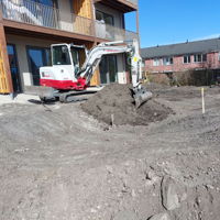 Man overleden na aanval door stier op boerderij in Stompetoren