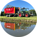 Man overleden na aanval door stier op boerderij in Stompetoren