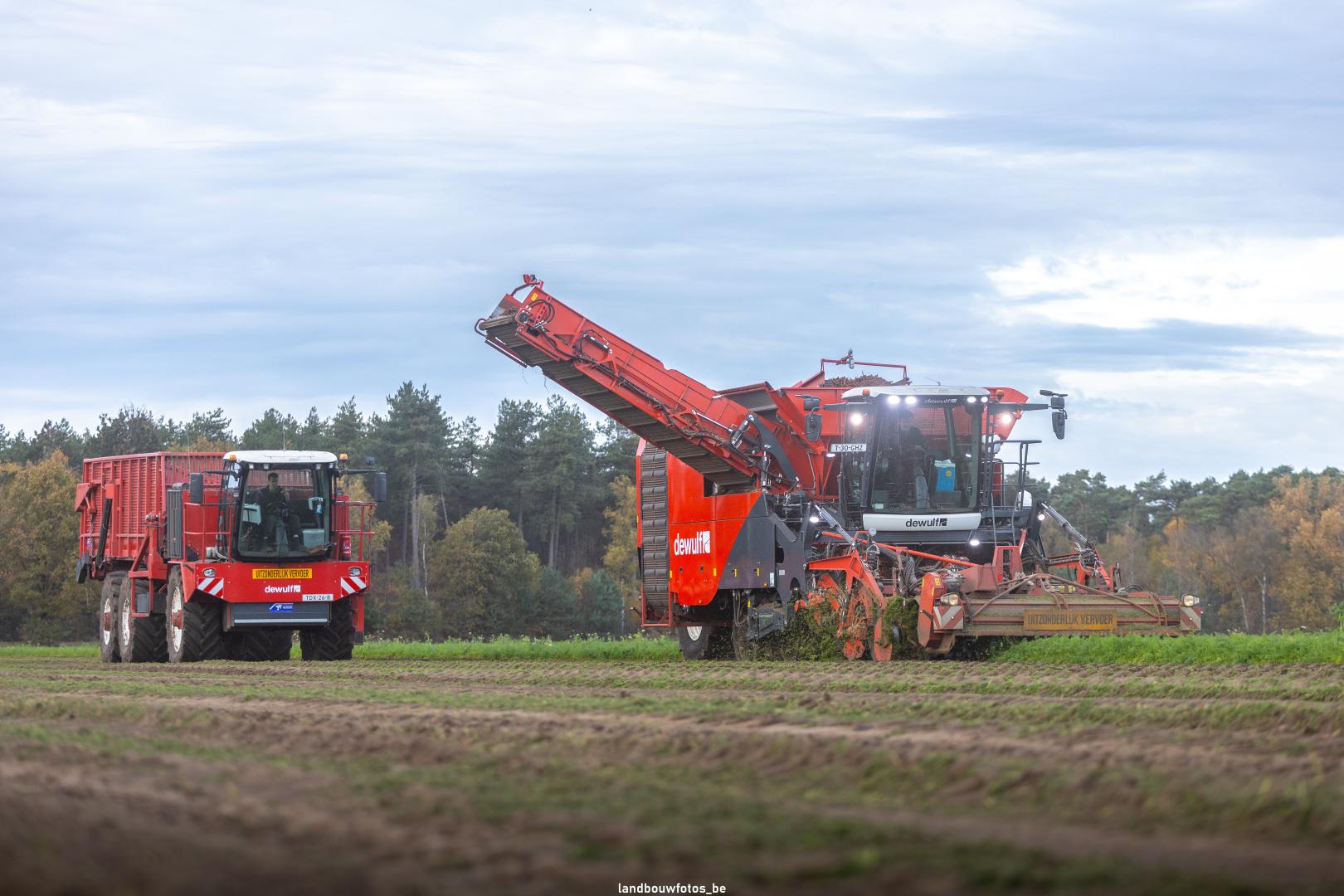 Loonbedrijf Van Raak in actie met Dewulf Kwatro en aangepaste bietenlader