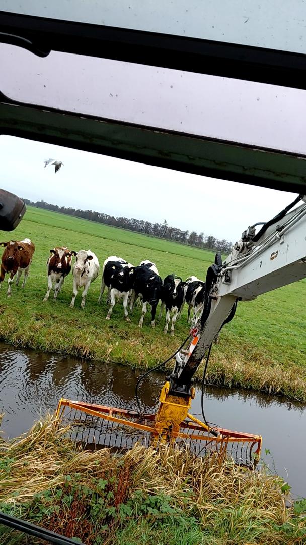 Takeuchi TB 80 in actie tijdens transport nabij huis